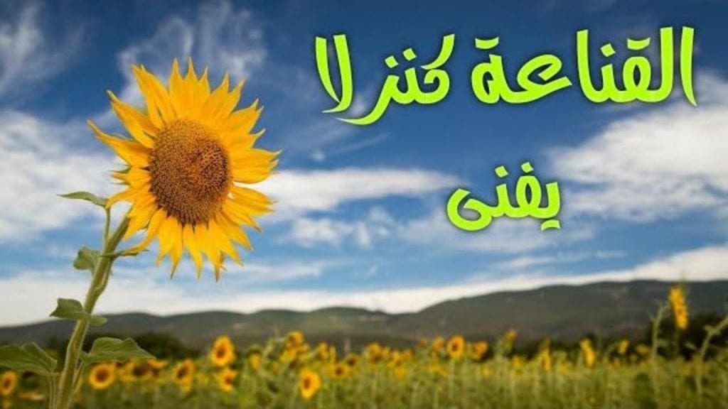 Le contentement est un trésor inépuisable/intarissable. – LumiereIslamique